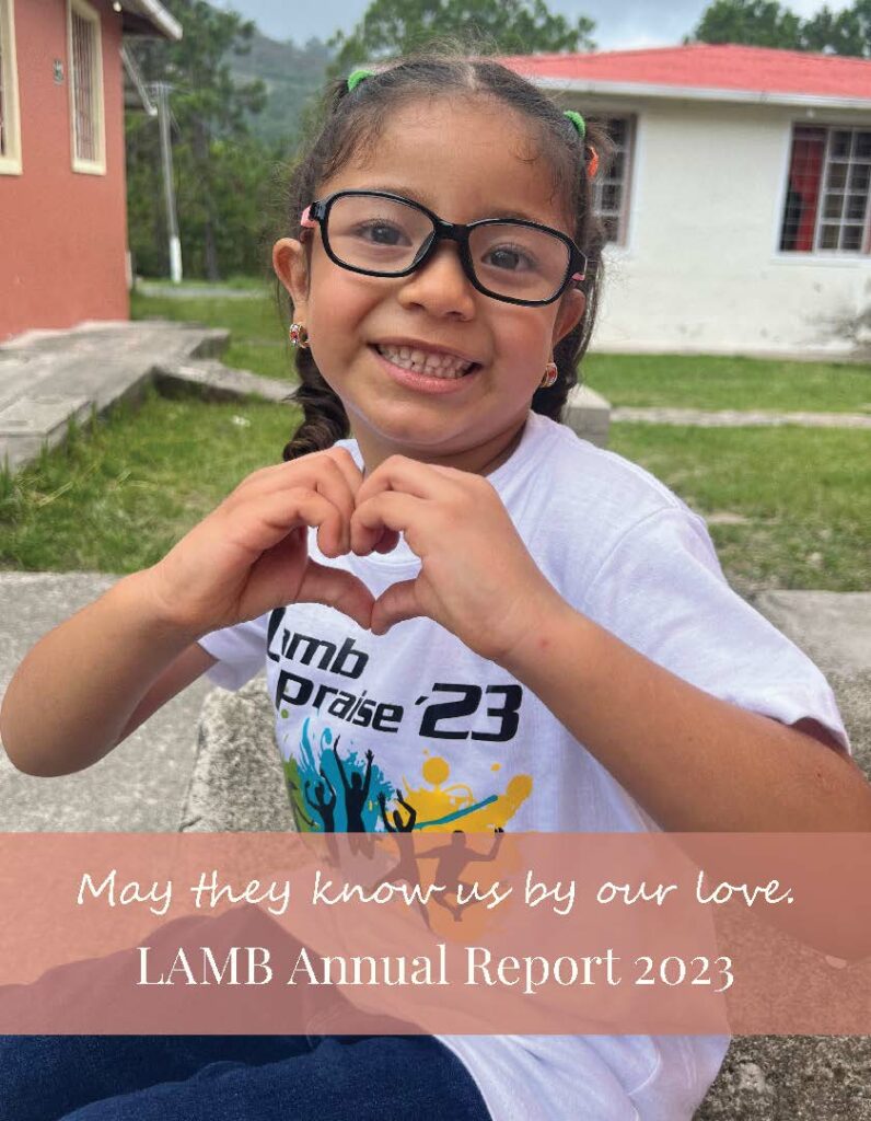2023 Annual Report - Lamb Institute